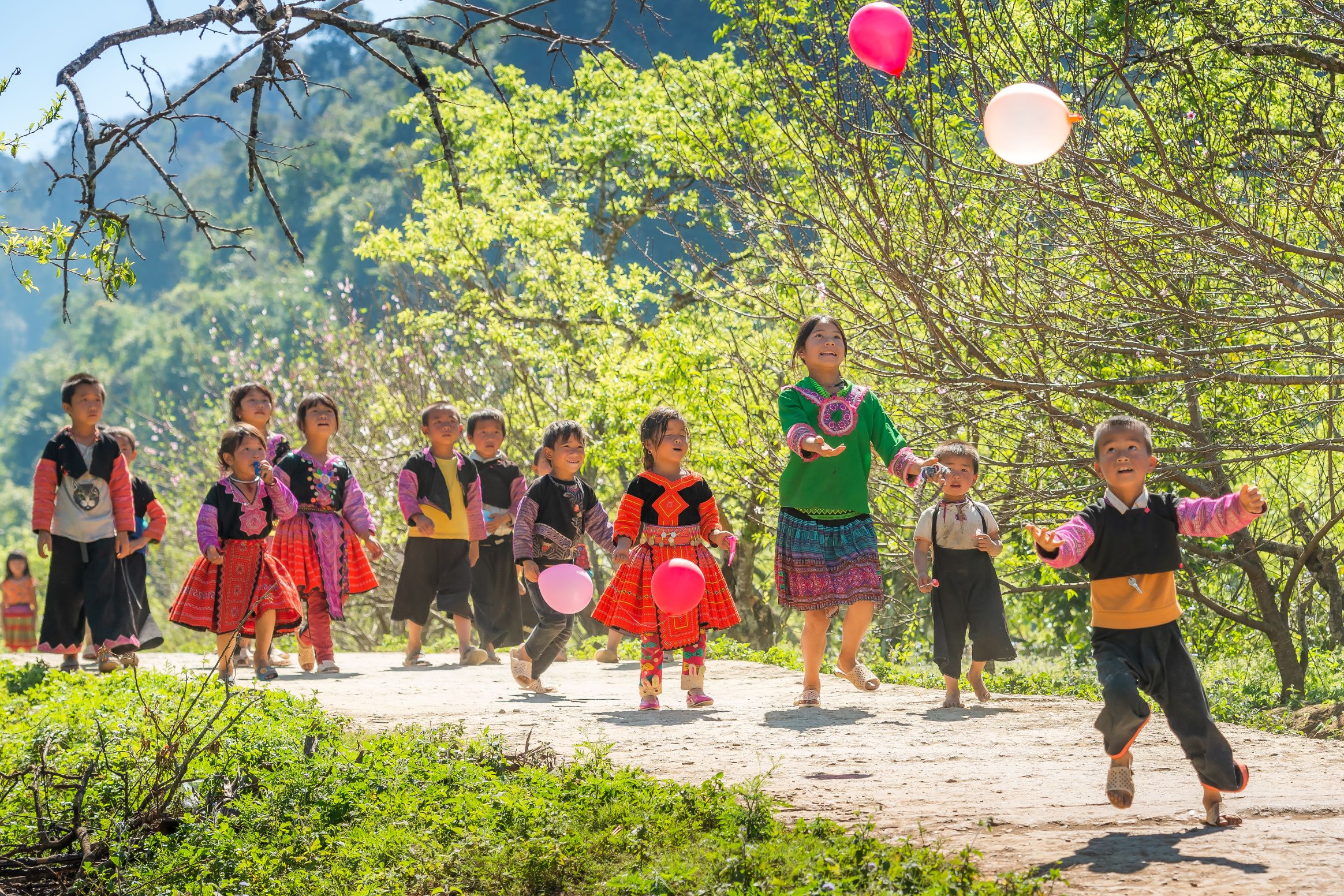 Nationally Determined Contributions in Asia