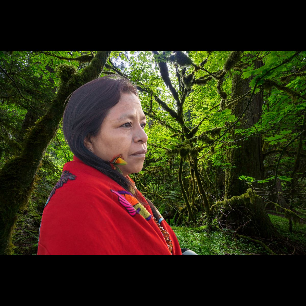 “The forest symbolizes life itself”